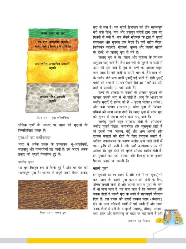 Banger Meaning In Hindi: भांगड़ा क्या है? अर्थ, परिभाषा और उपयोग