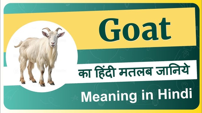 Hypothecation Meaning In Hindi: विचारण, परिकल्पना, समानार्थी शब्द और ...